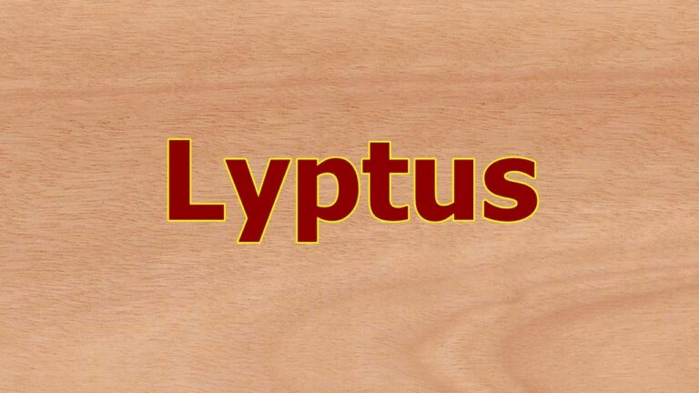 Lyptus a madeira nobre ecologicamente correta - Oficina 44